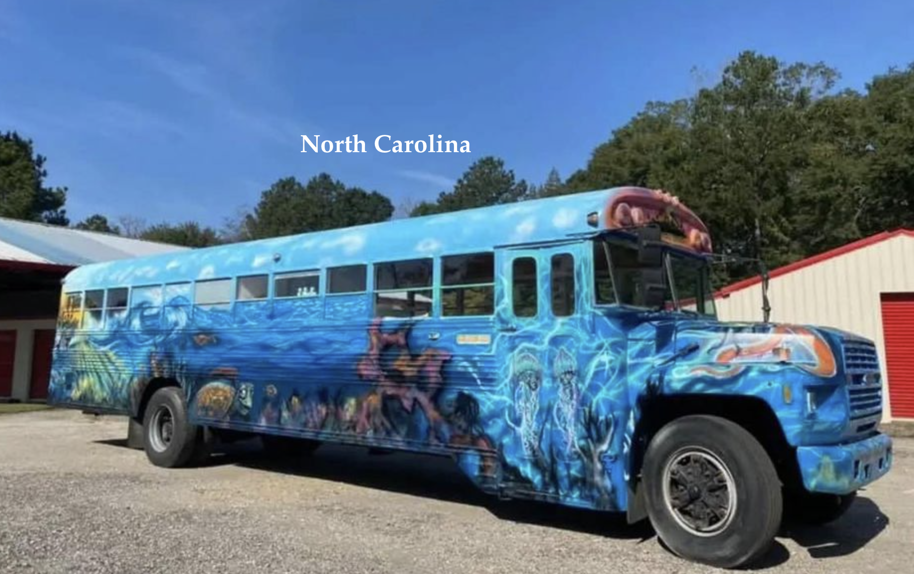 1992 Blue Bird Skoolie For Sale in North Carolina $45K - Tiny House on ...