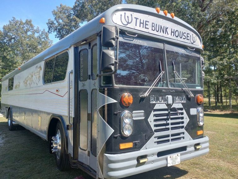 1982 Blue Bird School Bus RV For Sale By Owner Under $33K